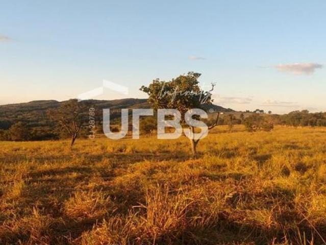 FAZENDA NO MUNICÍPIO DE VARJÃO