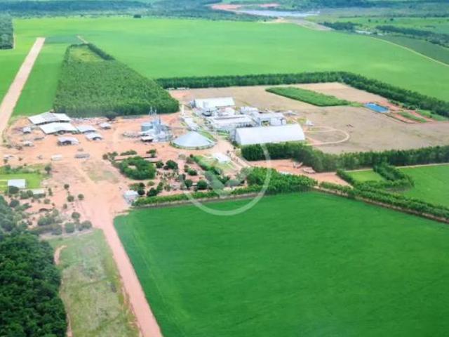 Fazenda no município de Nova Mutum MT, 30 KM DO ASFALTO. A 40 KM DE NOVA MUTUM MT. 27 mil hectares