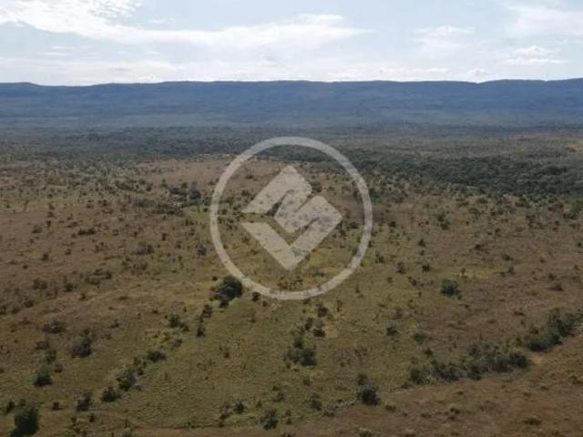 fazenda no municipio de rosario oeste curral para 1.000 cabecas de gado
