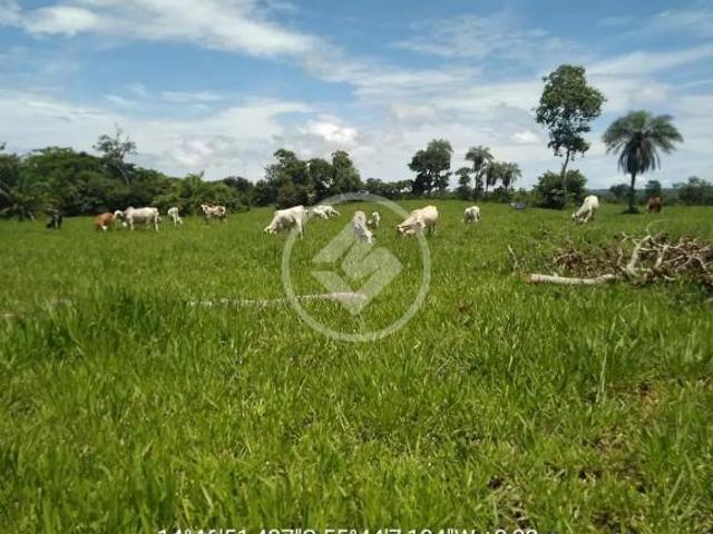 Fazenda no Manso, próximo ao lago e a vila