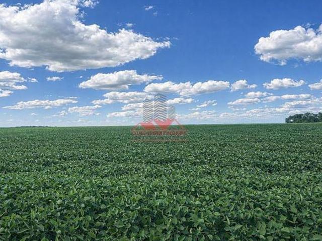 Fazenda no Oeste Paranaense | 1.707 Alq | Alta Produtividade