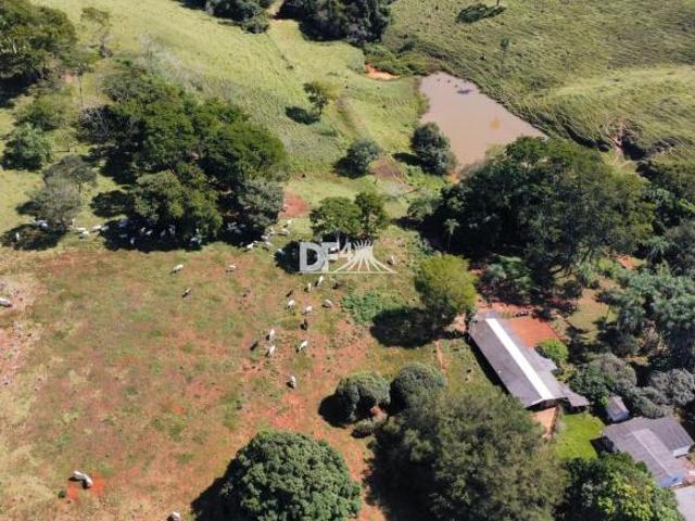 FAZENDA NO CORUMBA IV, 816.000,00m², 6 QUARTOS