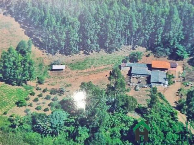 FAZENDA NO LESTE DE MINAS SÃO PEDRO DO SUAÇUI /MG 54 Ha