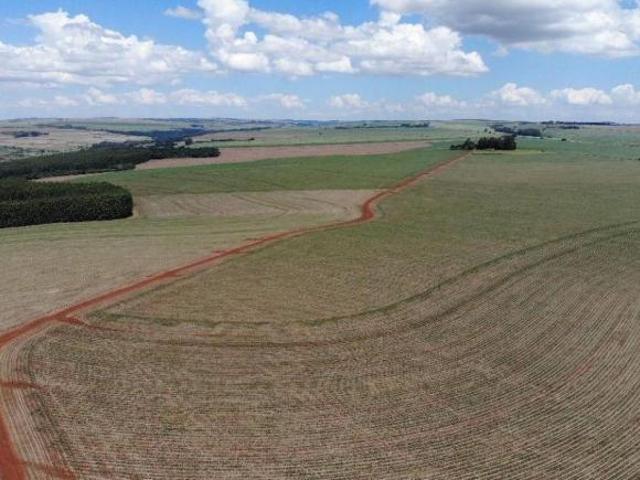 Fazenda no Paraná alta produção