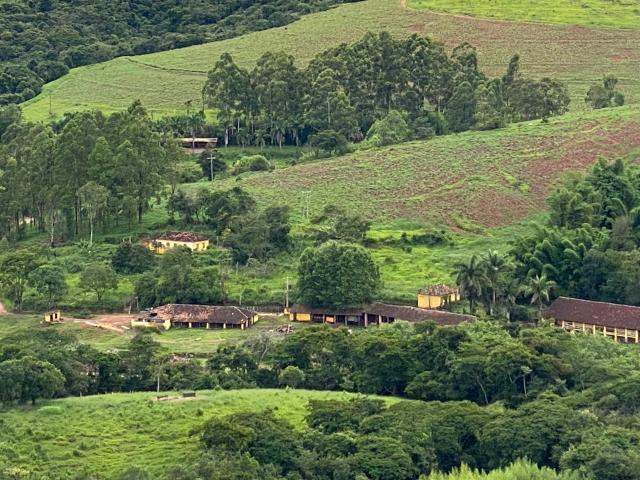 Fazenda no Sul de Minas _ 680 hectares_ Aptidão Pecuária e Agricultura