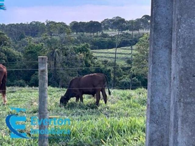 Fazenda no triângulo mineiro município de campina verde. Própria para pecuária