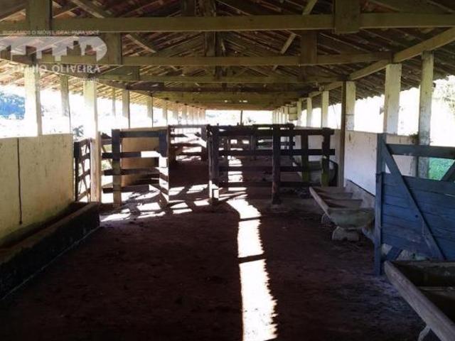 Fazenda no vale do Ribeira