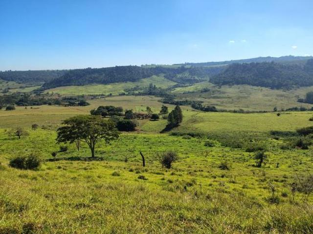 Fazenda ótima logística,boi,grãos,tomate.