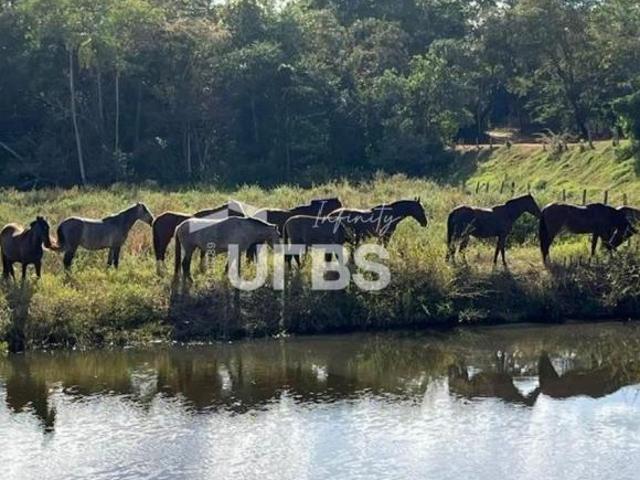 Fazenda Ourinho de Deus 63 alqueires 7 km de Santa Tereza Go