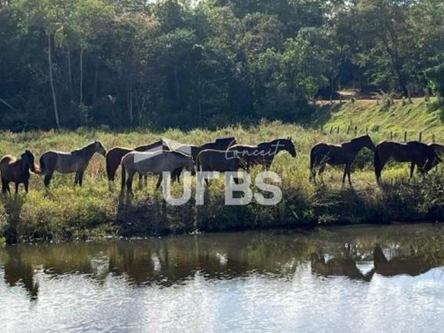 Fazenda Ourinho de Deus 63 alqueires 7 km de Santa Tereza Go