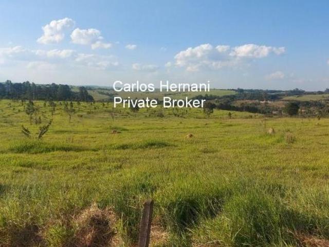 Fazenda, Avecuia, Porto Feliz, SP