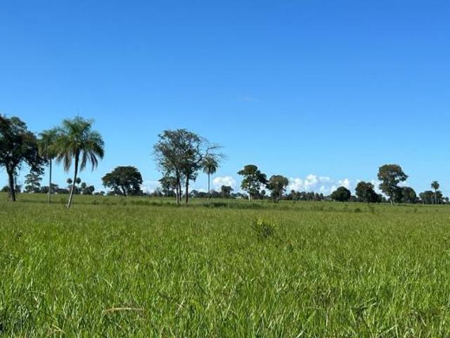 Fazenda a 3km de Iaciara GO, com 1.433 hectares, PLANA