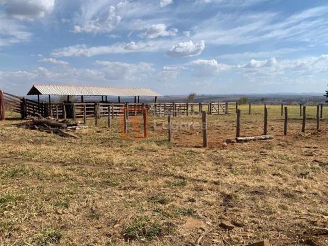 Fazenda a 5 km de Ivolândia GO – 15 Alqueires prontos para produção
