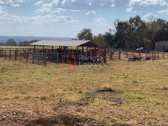 Fazenda a 5 km de Ivolândia GO – 38 Alqueires prontos para produção