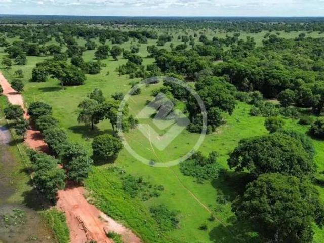 Fazenda a 90 Km de Cuiabá