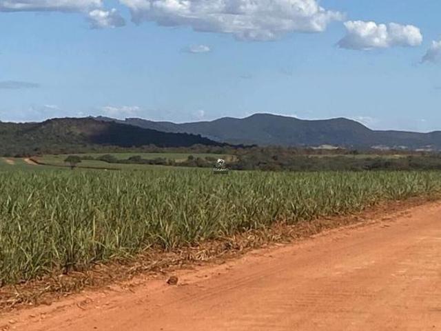 Fazenda à venda, 3 quartos, 10 vagas, Centro Goianésia/GO