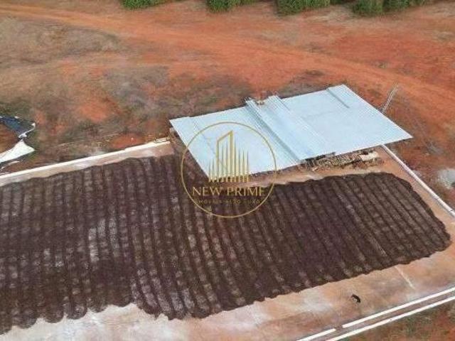 Fazenda à venda, 10 quartos, 2 suítes, 20 vagas, Centro Alfenas/MG