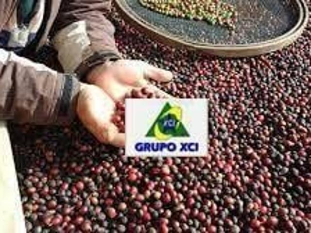 Fazenda à venda, 1170000 m² por R$ 10.000.000,00 Zona Rural Bom Sucesso/MG