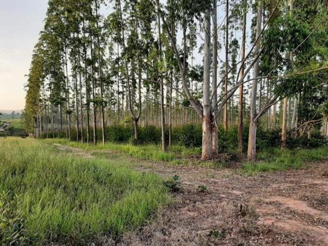 FAZENDA À VENDA, 1181400 M² POR R$ 9.800.000 ZONA RURAL ALTINÓPOLIS/SP