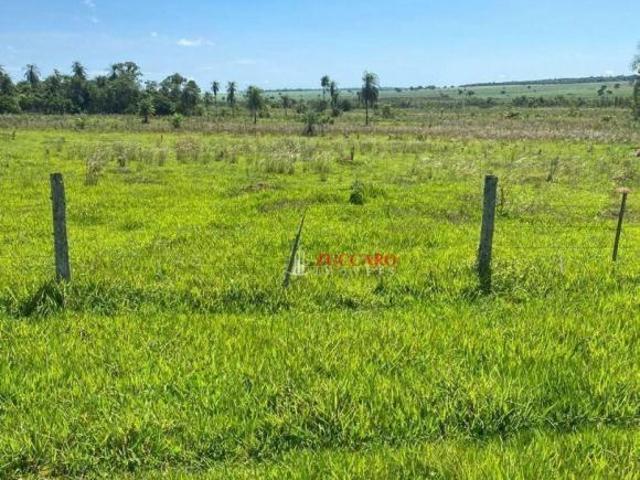 Fazenda à venda, 1137400 m² por R$ 6.900.000,00 Jardim o Pioneiro Fátima do Sul/MS