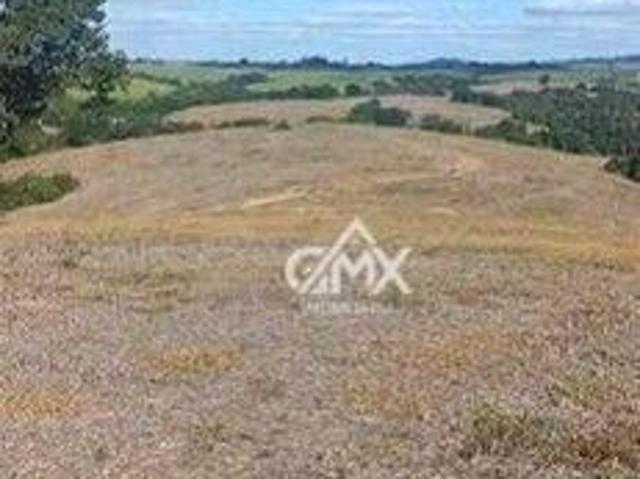 Fazenda à venda, 1282600 m² por R$ 10.000.000,00 Rural Jundiaí do Sul/PR