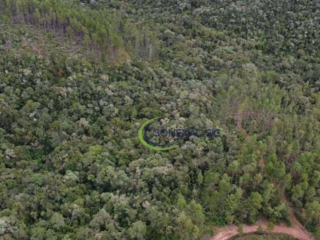 Fazenda à venda, 1210000 m² por R$ 6.000.000,00 Alto Serra Mantiqueira Piquete/SP