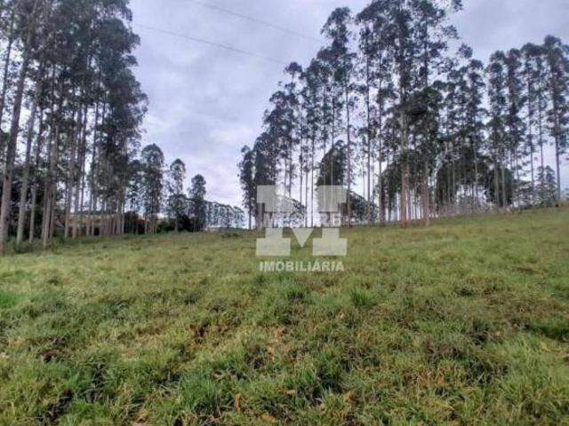 Fazenda à venda 130 hectares Itutinga MG