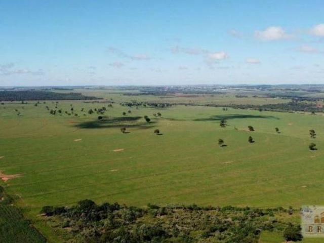Fazenda à venda, 14881099 m² por R$ 56.000.000,00 Centro Antônio João/MS
