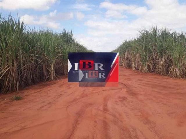 Fazenda à venda, 1573000 m² por R$ 9.750.000,00 Zona Rural Tupã/SP