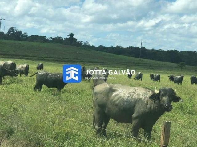 Fazenda à venda, 15 vagas, Centro Iguape/SP