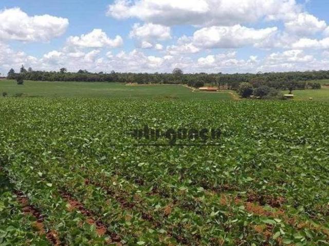 Fazenda à venda, 1669800 m² por R$ 17.000.000,00 Zona Rural Itapetininga/SP