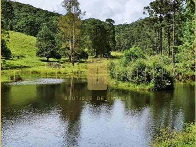 Fazenda à venda, 19360000 m² por R$ 15.000.000 Vale do rio Formoso São José do Barreiro/SP