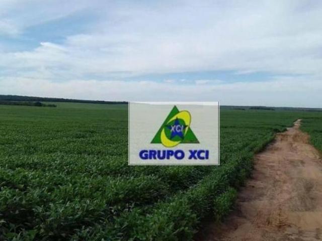 Fazenda à venda, 20400000 m² por R$ 70.000.000,00 assentamento Ribeirão Cascalheira/MT