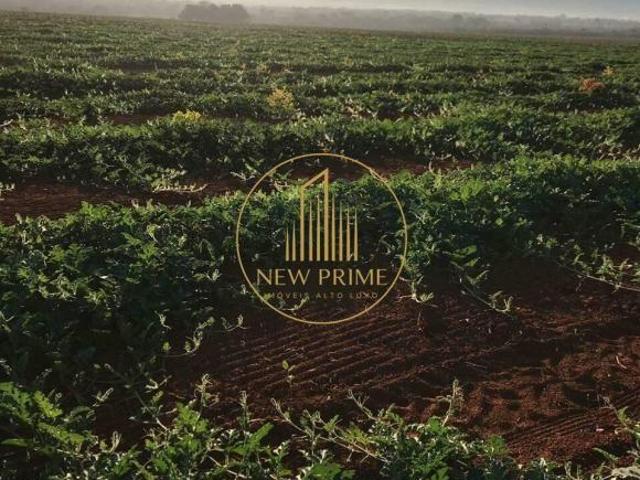 Fazenda à venda, 20 quartos, 2 suítes, Zona Rural Corinto/MG