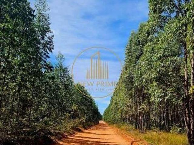 Fazenda à venda, 20 vagas, Centro Montes Claros/MG