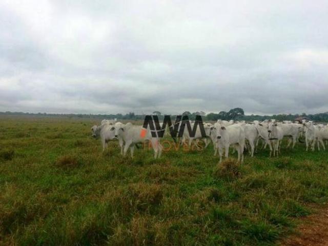 Fazenda à venda, 21000 m² por R$ 450.000.000,00 Novo Diamantino Diamantino/MT