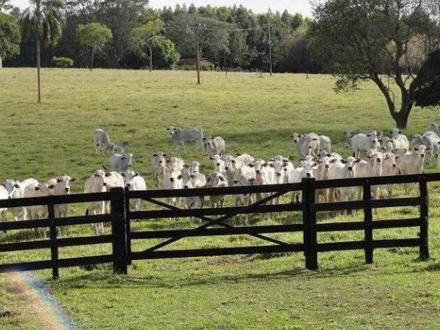 Fazenda à venda, 2299000 m² por R$ 40.000.000,00 Holambra Avaré/SP