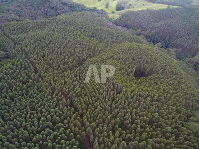 Fazenda à venda, 2231800 m² por R$ 6.100.000,00 Pinheiro dos Cravos Guapiara/SP