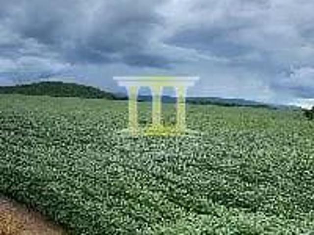 Fazenda à venda, 2300 m² por R$ 130.000.000,00 Feliz Natal/MT