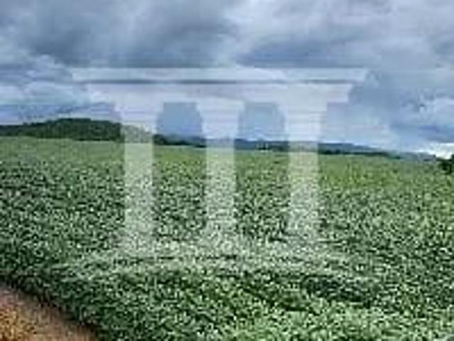 Fazenda à venda, 2300 m² por R$ 130.000.000,00 Feliz Natal/MT