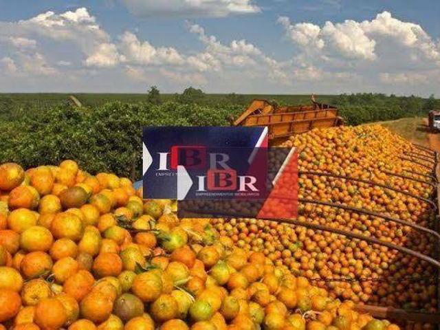 Fazenda à venda, 2420000 m² por R$ 40.000.000,00 Zona Rural Aguaí/SP
