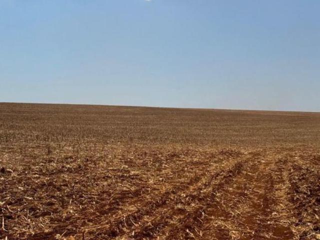 Fazenda à venda, 24360000 m² por R$ 132.000.000 Área Rural de Nova Mutum Nova Mutum/MT