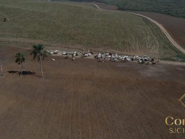Fazenda à venda, 2565200 m² por R$ 20.000.000,00 Vila Resende Caçapava/SP