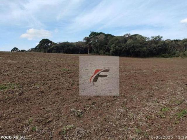 Fazenda à venda, 28 alqueires por R$ 2.600.000 Zona Rural Quitandinha/PR