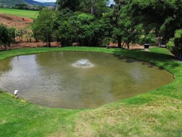 FAZENDA A VENDA 305 HECTARES OU 126 ALQUEIRES, EM CANDIDO DE ABREU PR