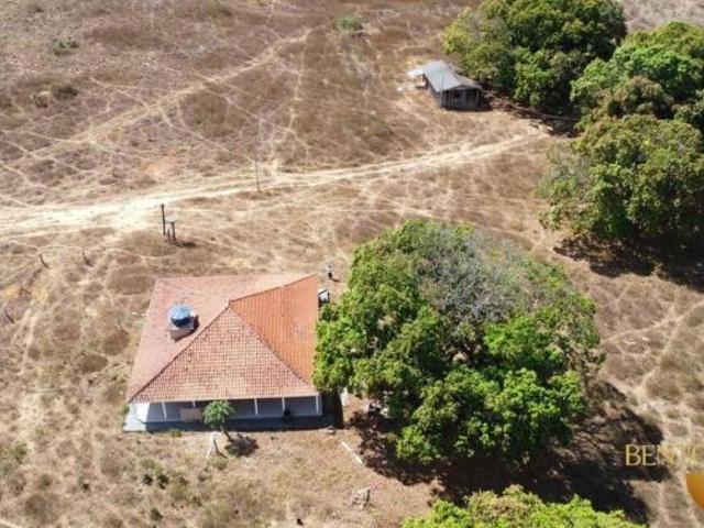 Fazenda à venda, 30820000 m² por R$ 75.000.000,00 Zona Rural Paranatinga/MT