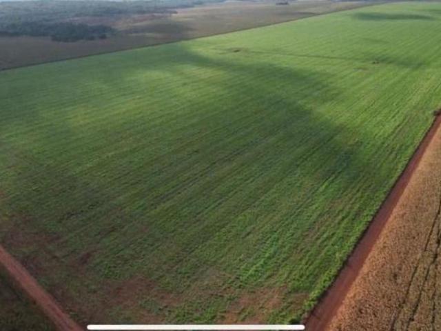 Fazenda à venda, 36000000 m² por R$ 170.000.000 Zona Rural Água Boa/MT