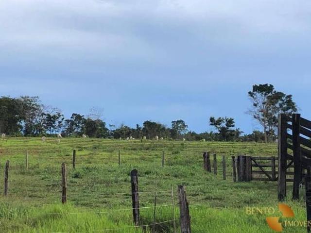 Fazenda à venda, 3980000 m² por R$ 7.300.000,00 Rural Chapada Guimarães/MT