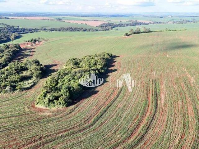 Fazenda à venda, 4065600 m² por R$ 32.000.000,00 Zona Rural Cornélio Procópio/PR