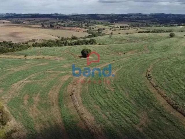 Fazenda à venda, 40 alqueires por R$ 12.720.000 Bom Retiro Porto Feliz/SP